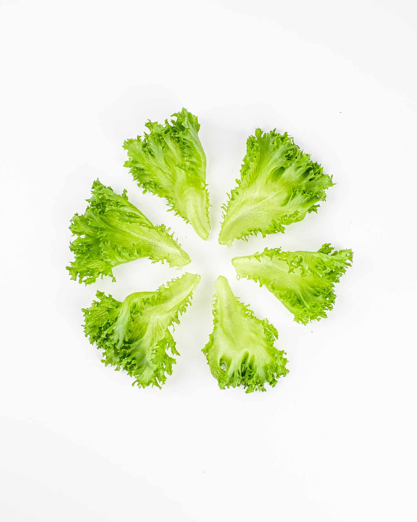 Salanova Crystal - Plagafarm